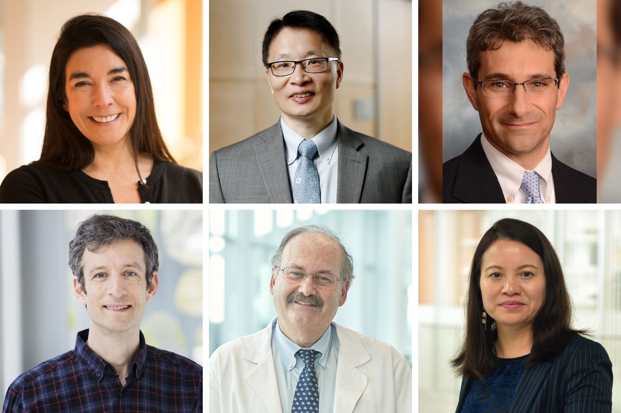 Six from Penn Elected 2024 AAAS Fellows - Penn Engineering Blog