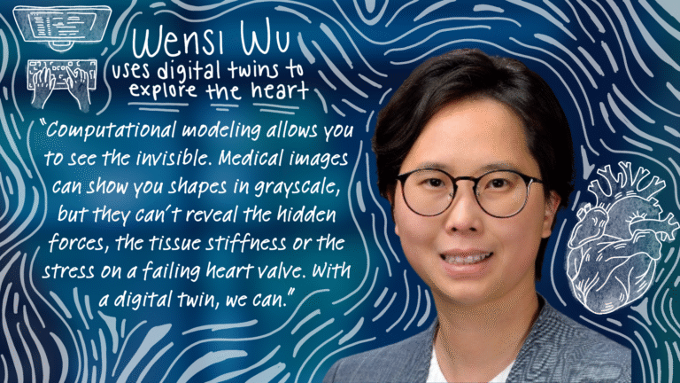 Wensi Wu Uses Digital Twins to Explore the Hidden Mechanics of the Human Heart - Penn ...